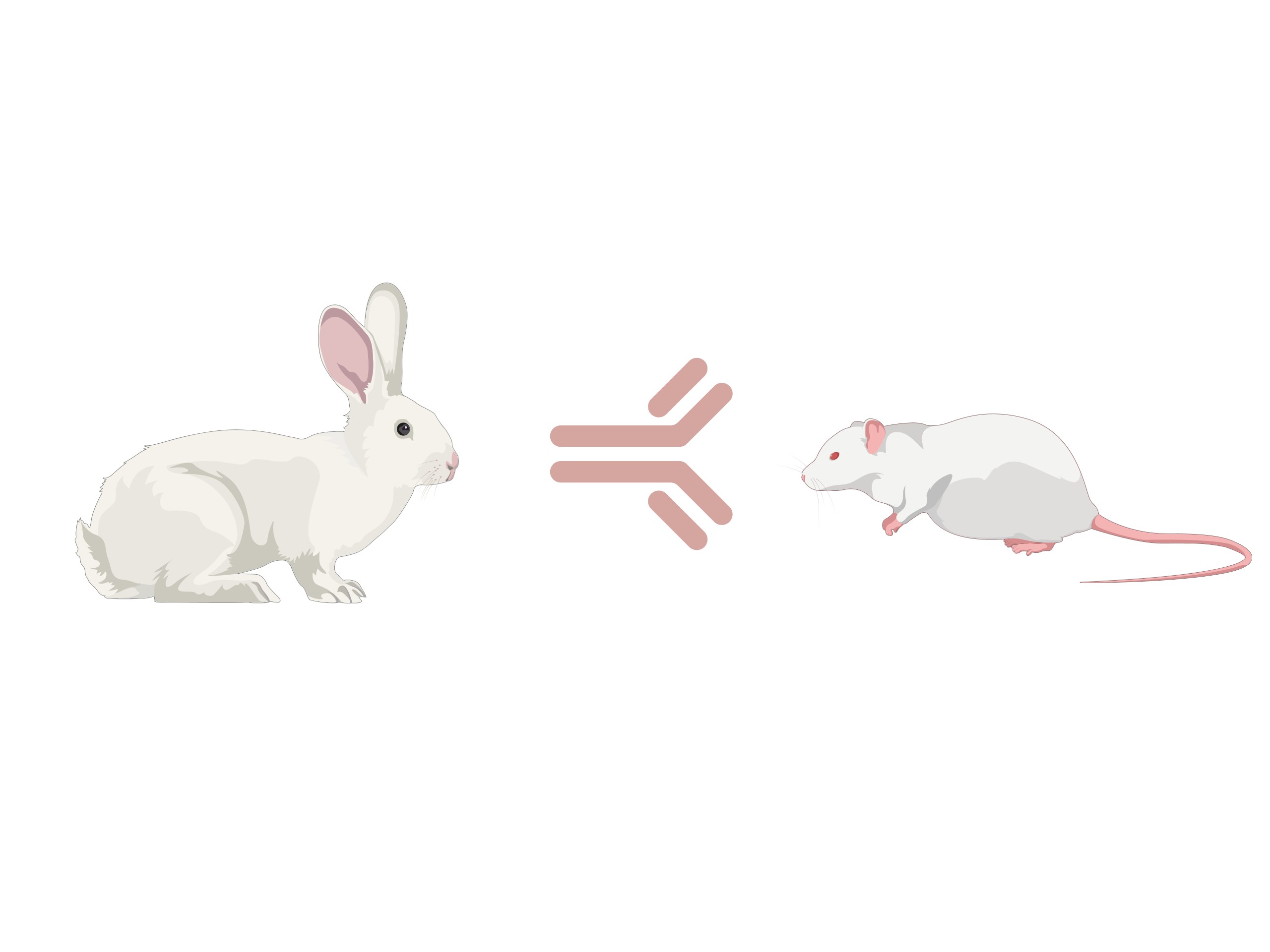 纳克生物（NanokareBio）商城-您身边的科研小助理